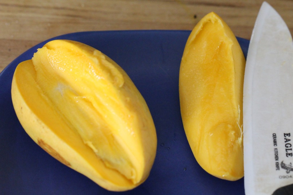 Growing Mango from Seed – tales of a plant geek