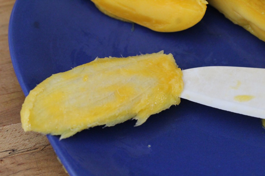 Growing Mango from Seed – tales of a plant geek